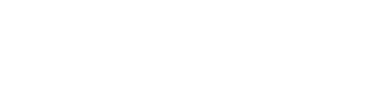 About Us & Company Information | Netography Inc.